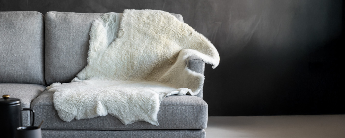 Decor Collection | Cielo